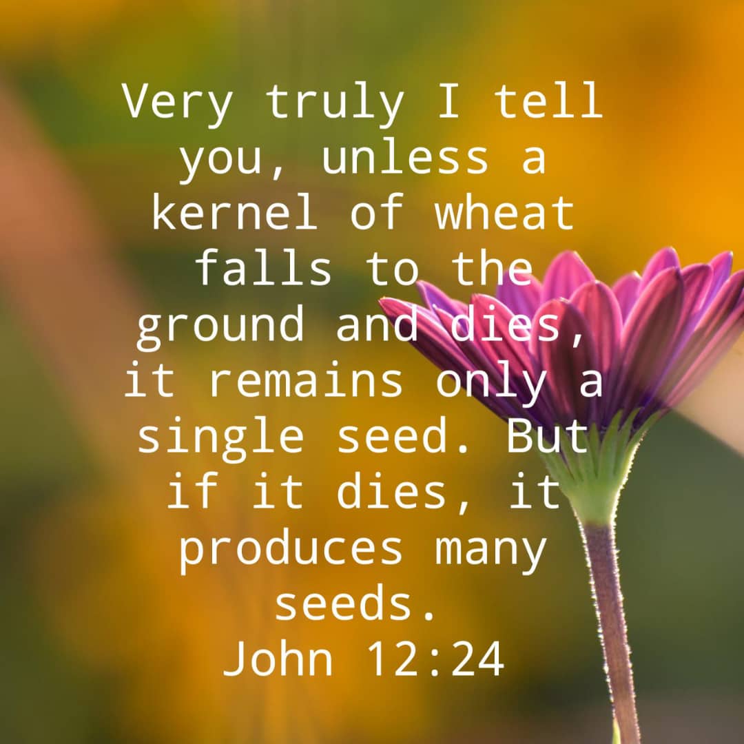 EASTER 2021: THE TRUE MEANING OF EASTER CELEBRATION - Unveiling The ...